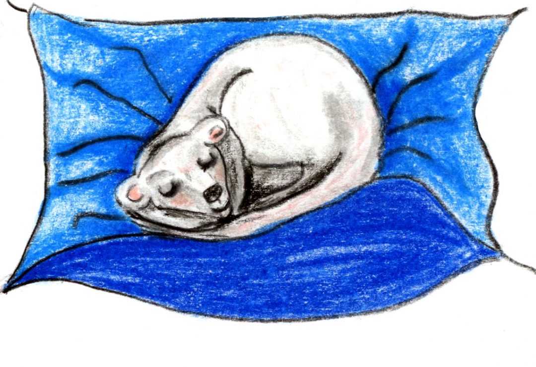 Be Calm on Ahway Island Podcast Episodes - Children's bedtime stories